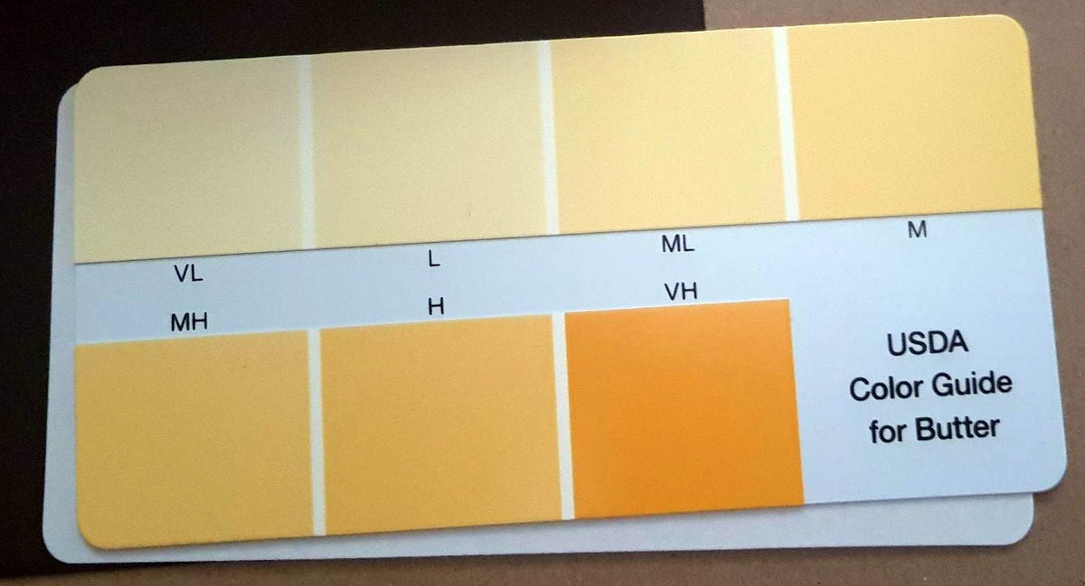 DAY 5: WHAT COLOUR IS BUTTER? MY FINAL DAY – Lard Ass Butter